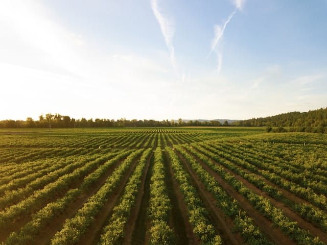 Using Shipping Containers for Agricultural Storage and Equipment
